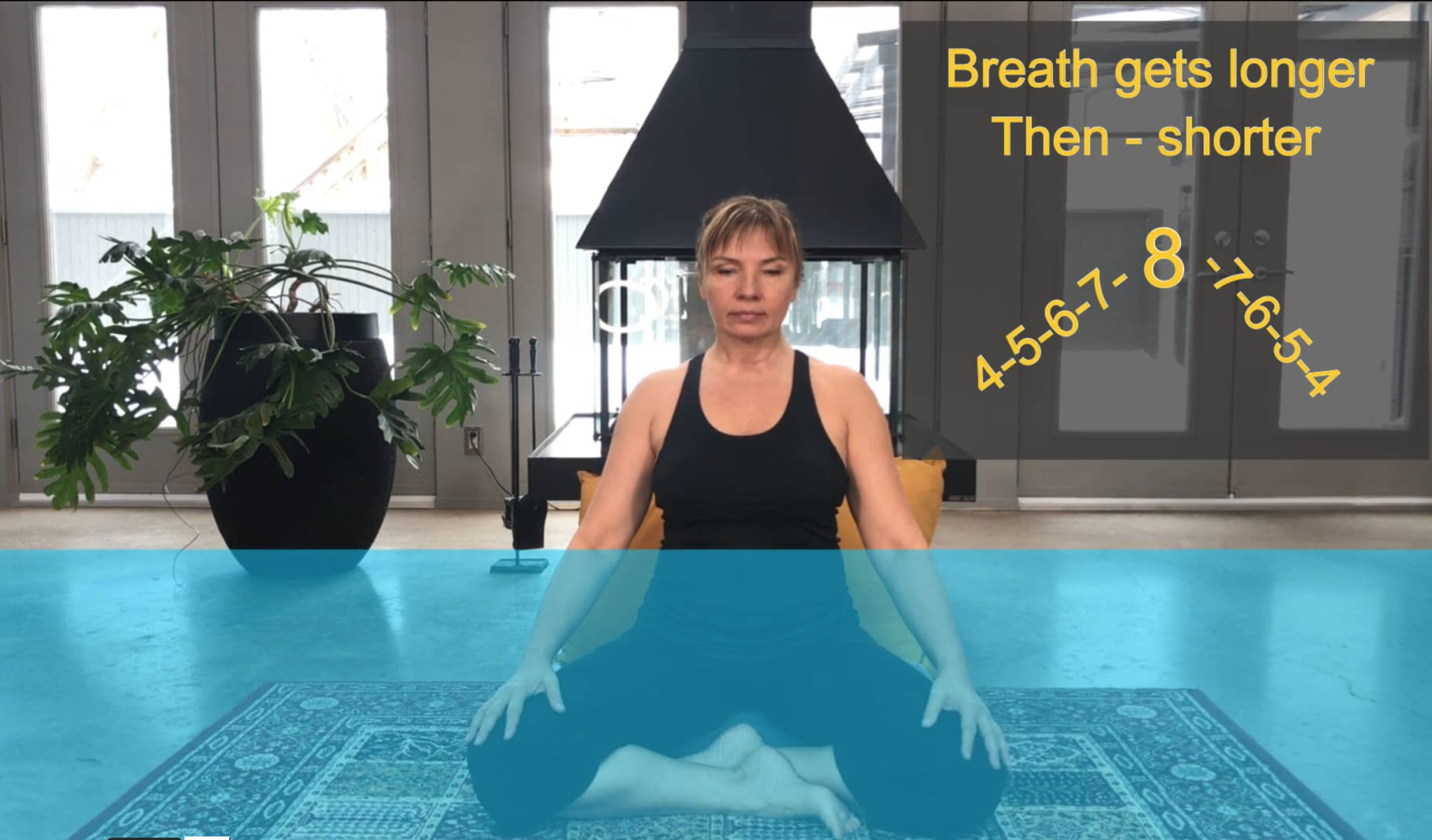 Breathing - rectangular - ha? - Basia Going Places
